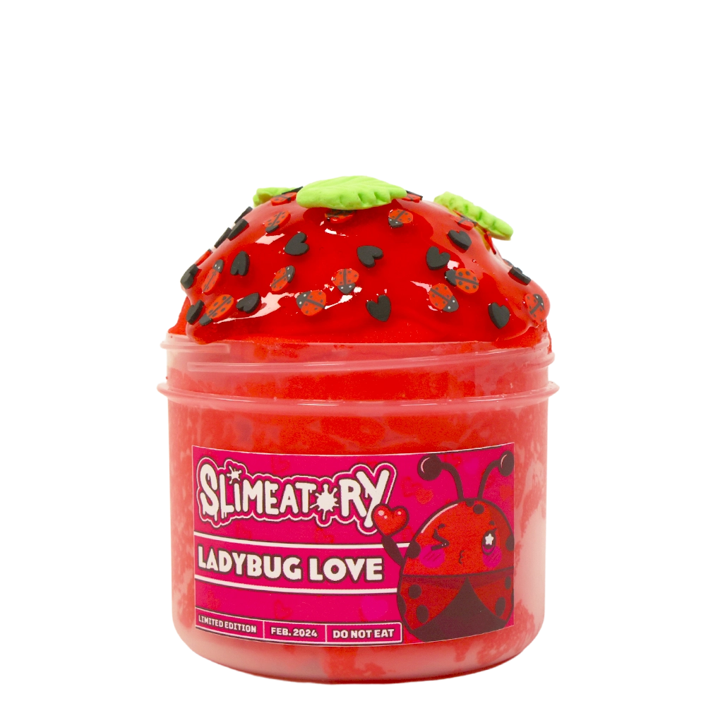 Ladybug Love 8oz DIY Clay Kit – Slimeatory